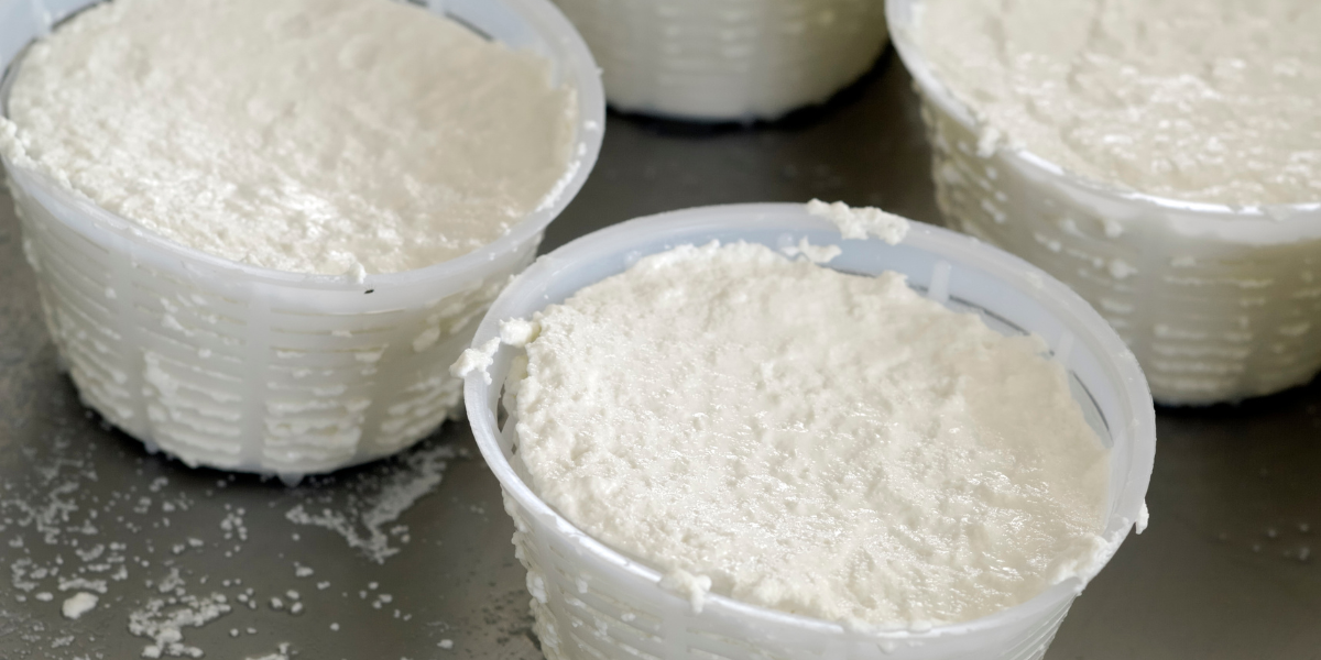 Squacquerone (Soft cheese similar to Crescenza) - Gourmet Recipe Vault