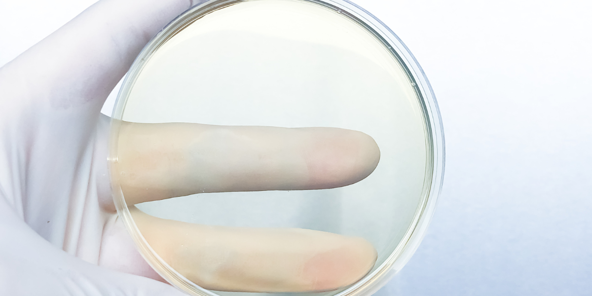 The Science of Dry-Curing: Understanding Water Activity and Microbial ...